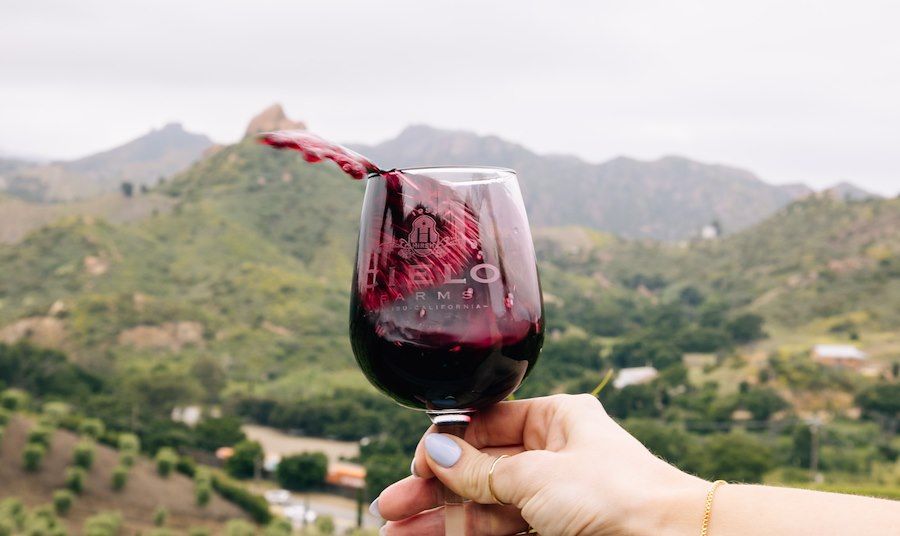 Experience Wine Tasting in Malibu at The Barn at Cielo Farms